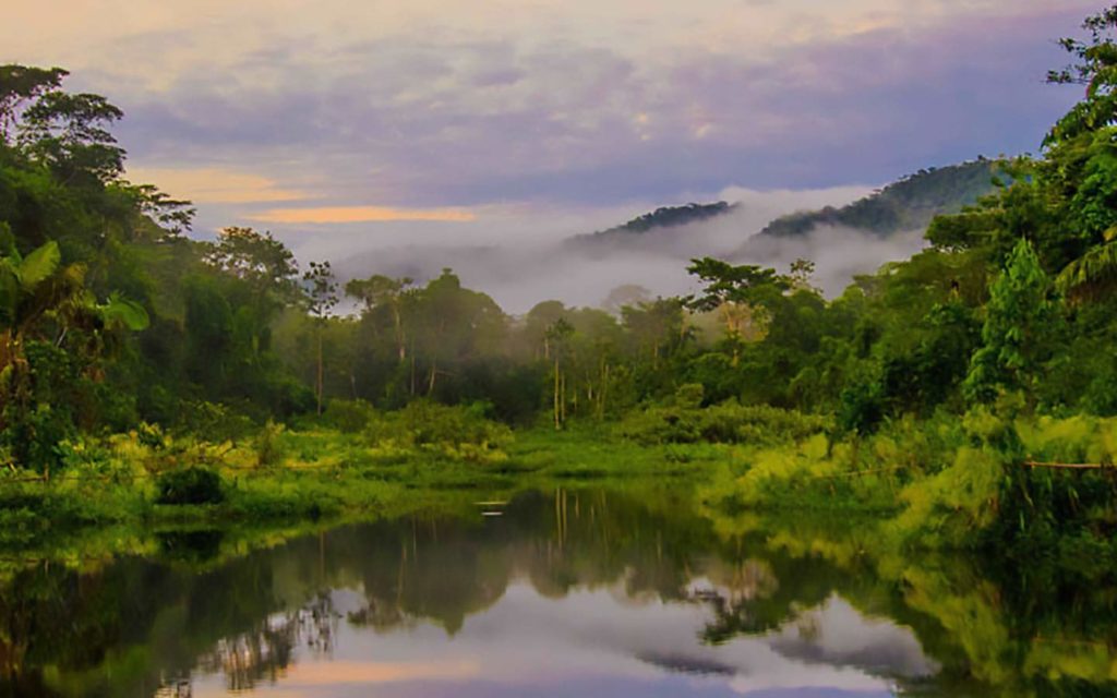 manu-jungle | Ecuador Andean Trails