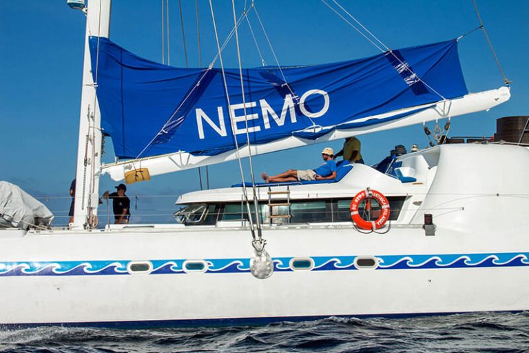 nemo-flag-catamaran | Ecuador Andean Trails